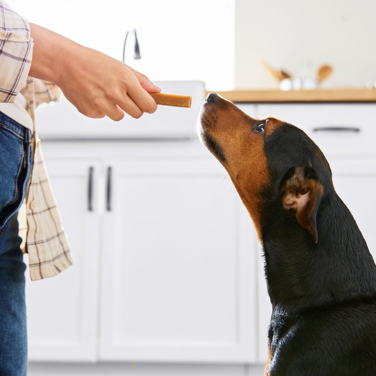 TRUE ACRE FOODS Small Stuffed Bone Treats Meaty Middle Made with real ...