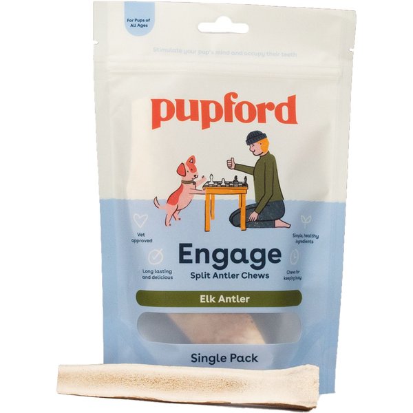 10 Best Dog Antlers 2024: According to Reviews | Chewy