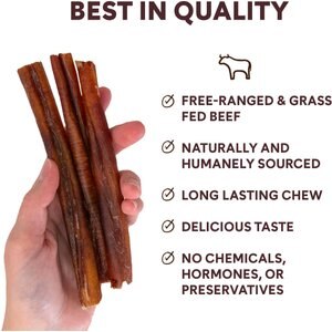 10 Best Bully Sticks for Dogs 2024: According to Reviews | Chewy
