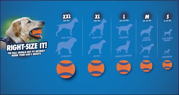 CHUCKIT! Super Crunch Ball, Blue, 1 count - Chewy.com