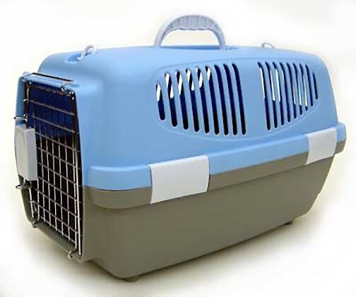 YML Plastic Small Animal Carrier Crate, Blue - Chewy.com