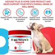 PET HEALTH PHARMA Azovast Plus Powder Kidney Supplement for Dogs & Cats ...