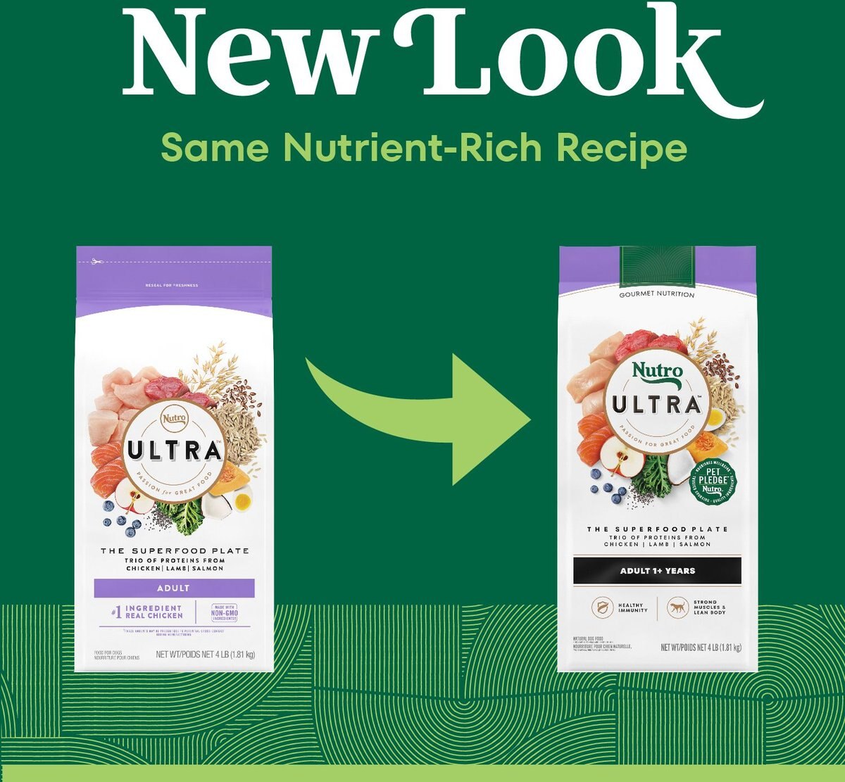 NUTRO Ultra High Protein Adult Dry Dog Food, 4-lb bag - Chewy.com