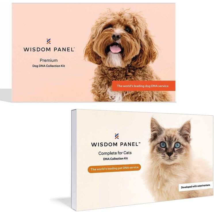 Wisdom Panel Dog DNA Breed & Health Test Kits - Free Shipping | Chewy