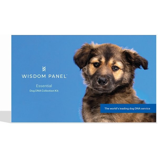 Discontinued - WISDOM PANEL Essential Breed Identification DNA Test for ...