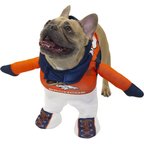MODERN HERO NFL Running Dog Costume, Dallas Cowboys, Large - Chewy.com
