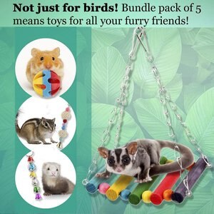 10 Best Parakeet Toys & Perches 2024: According to Reviews | Chewy