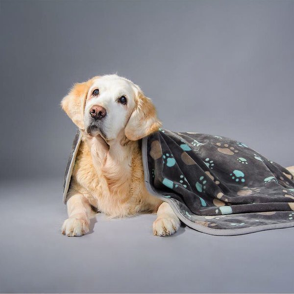 ALLISANDRO Microplush Fleece Polyester Dog & Cat Blanket, Grey Paw ...