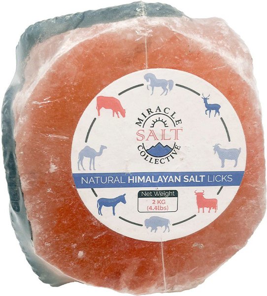 MIRACLE SALT COLLECTIVE Natural Himalayan Salt Lick, 4.5-lb block ...