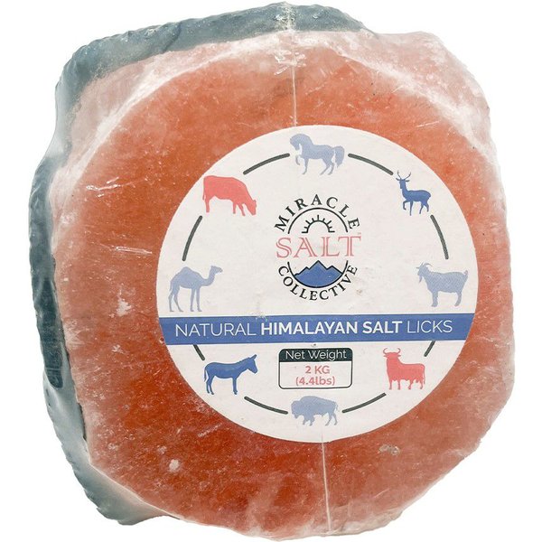 MIRACLE SALT COLLECTIVE Natural Himalayan Salt Lick, 4.4-lb brick ...