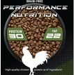 SPORTMIX CanineX Performance Chicken Formula Dry Dog Food, 40-lb bag ...