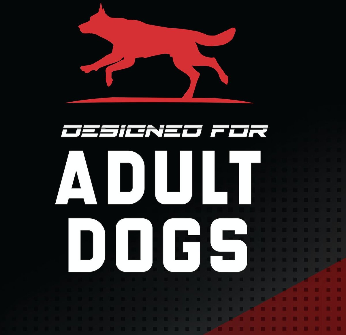 SPORTMIX CanineX Performance Beef Formula Dry Dog Food, 40-lb bag ...