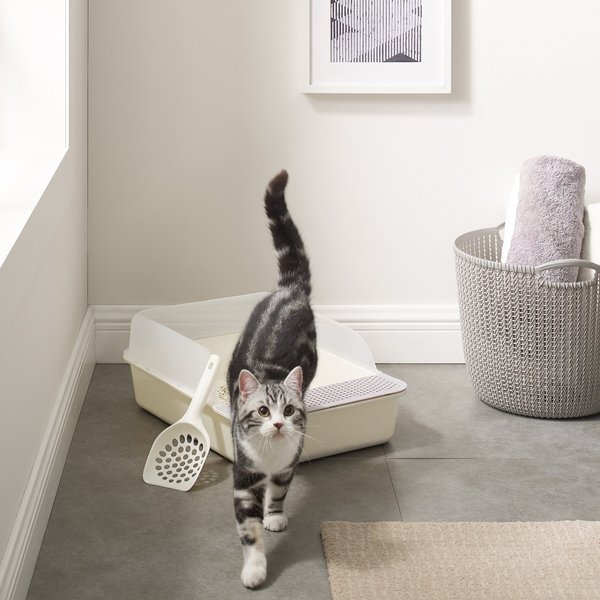 SAM'S PETS Helix Cat Litter Box, White - Chewy.com