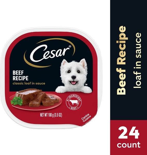 CESAR Classic Loaf in Sauce Beef Recipe Grain-Free Small Breed Adult ...