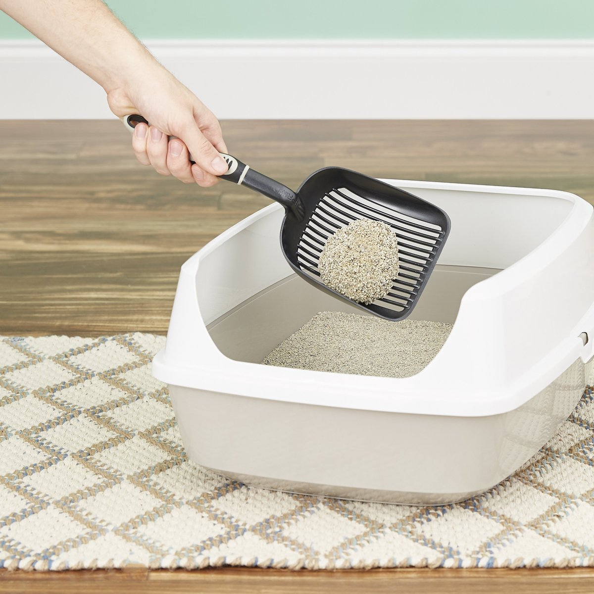 New Version Available - DR. ELSEY'S Kitten Attract Clumping Clay Cat ...