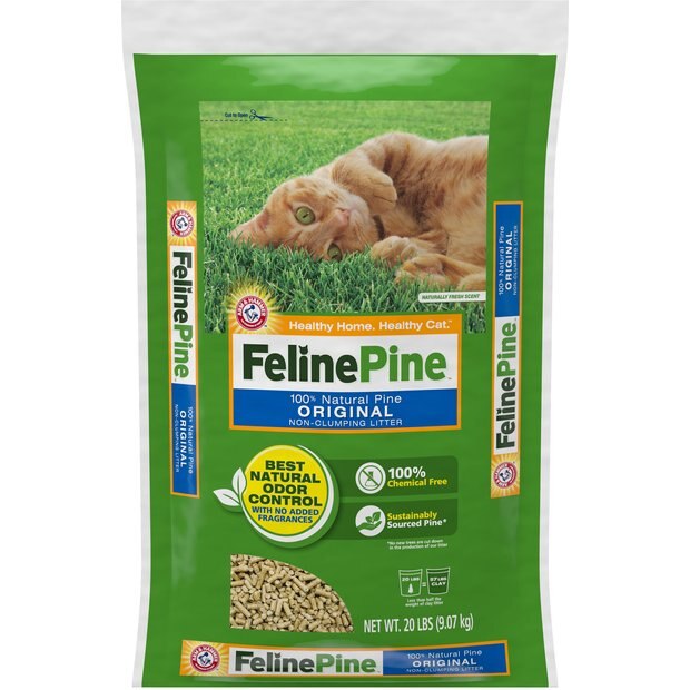 Feline Pine - Free shipping | Chewy