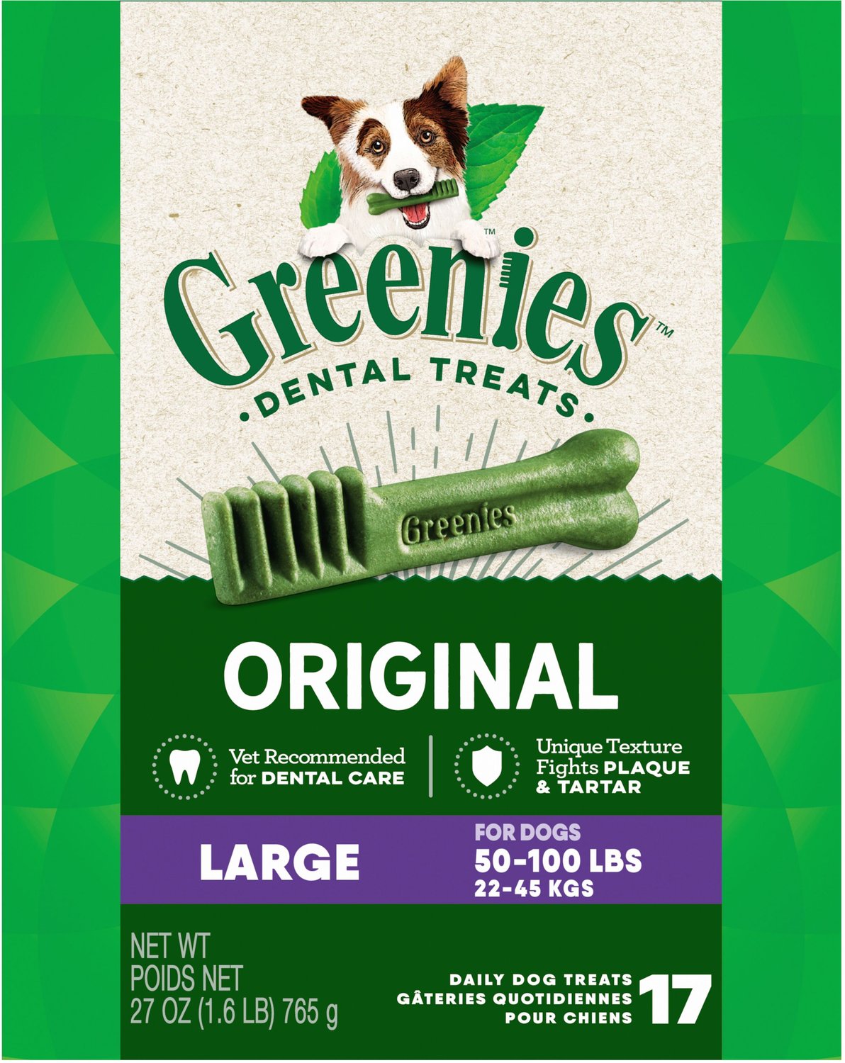 GREENIES Large Dental Dog Treats, 17 count - Chewy.com