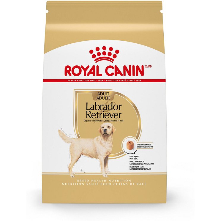 ROYAL CANIN DRY DOG FOOD (Free Shipping) | Chewy