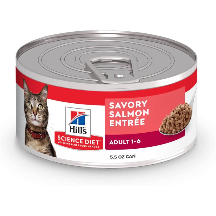 MINCED WET CAT FOOD (Free Shipping) | Chewy