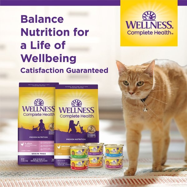 WELLNESS Complete Health Chicken & Lobster Formula Canned Cat Food, 12. ...