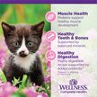 WELLNESS Complete Health Kitten Chicken Entree Recipe Natural Canned ...