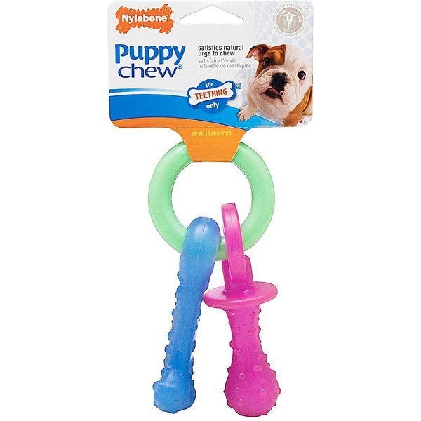 ETHICAL PET Pacifier Squeaky Puppy Chew Toy, Color Varies, 4-in - Chewy.com