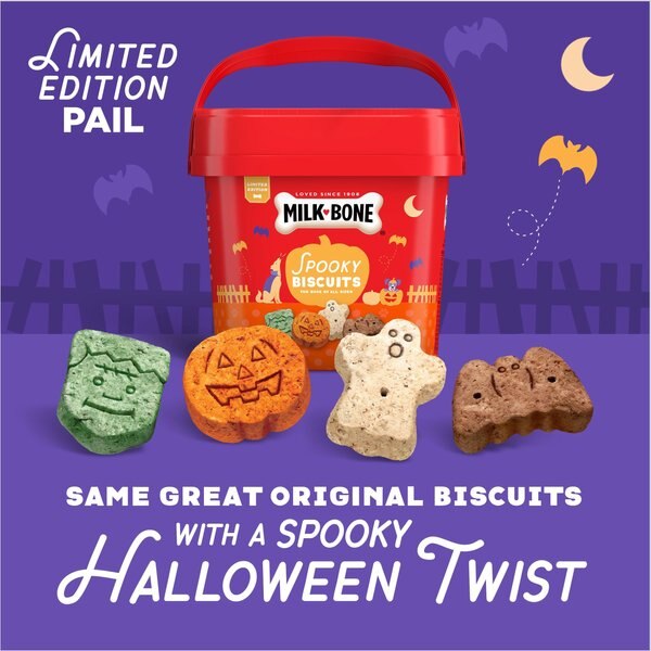 MILK-BONE Spooky Biscuits Halloween Dog Treats, 24-oz pail - Chewy.com