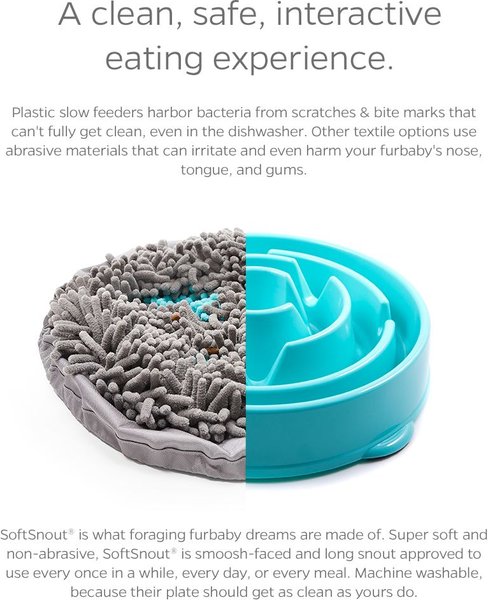 PET PARENTS Forager Snuffle Mat & Slow Feeder Dog Bowl, Meadow Ponds ...