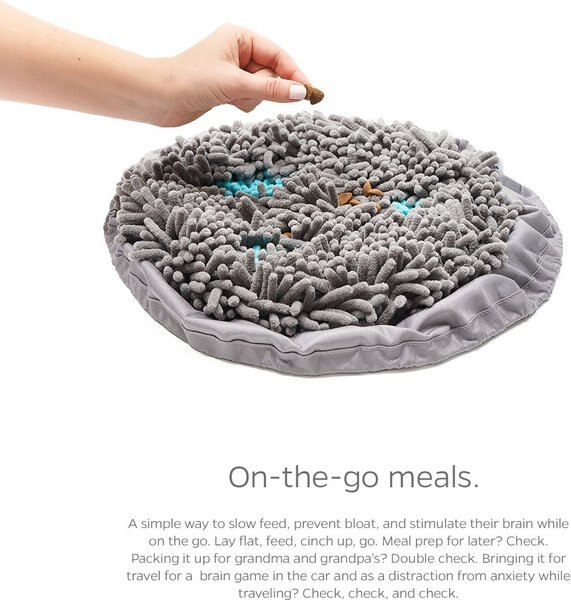 PET PARENTS Forager Snuffle Mat & Slow Feeder Dog Bowl, Meadow Ponds ...