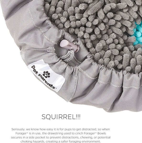 PET PARENTS Forager Snuffle Mat & Slow Feeder Dog Bowl, Meadow Ponds ...