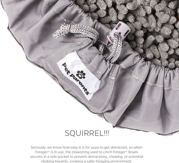 PET PARENTS Forager Snuffle Mat & Slow Feeder Dog Bowl, Forest Grey ...