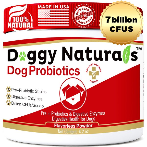 NATURE'S FARMACY Dogzymes Probiotic Max Dog Supplement, 8-oz jar ...