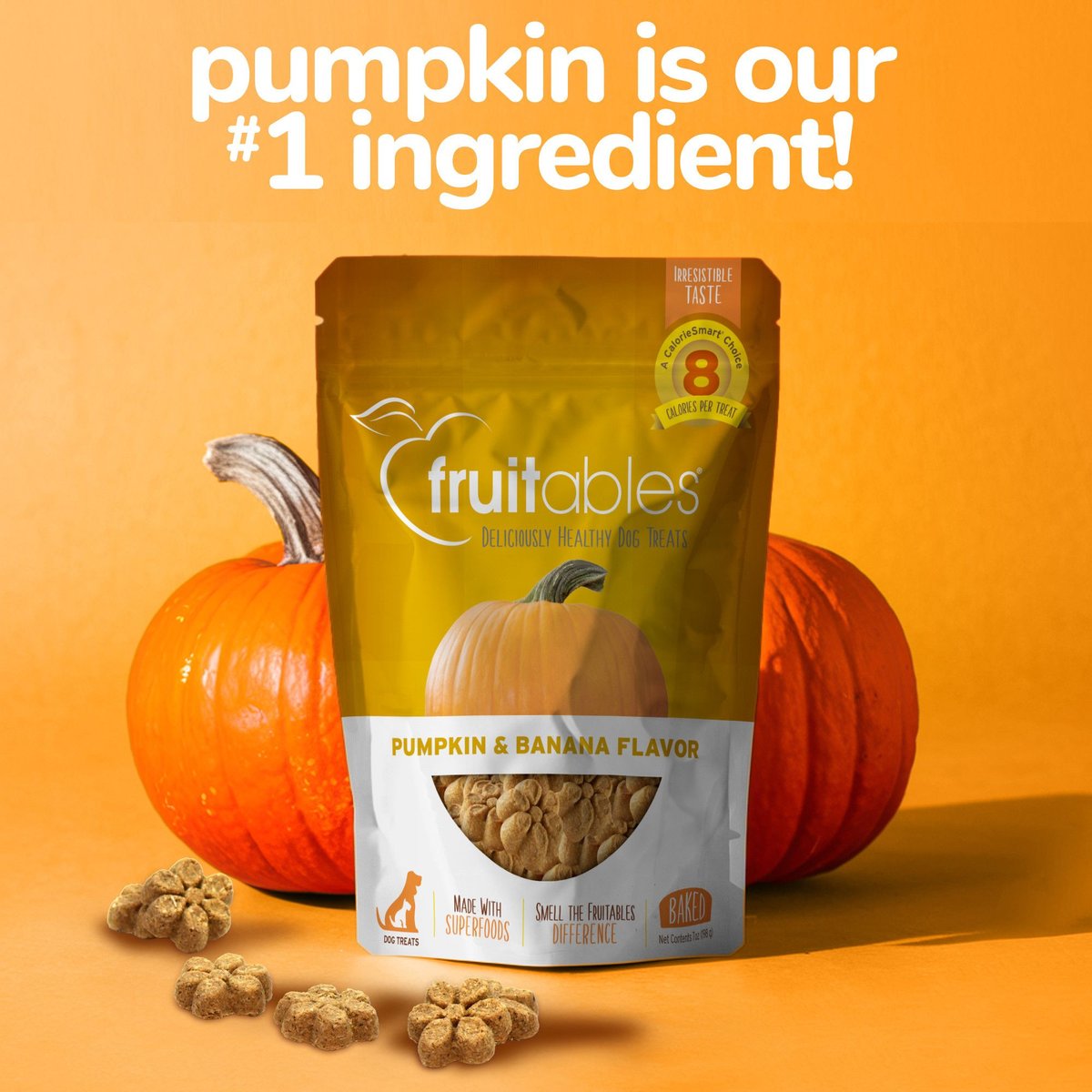 FRUITABLES Pumpkin & Banana Flavor Dog Treats, 7-oz bag - Chewy.com