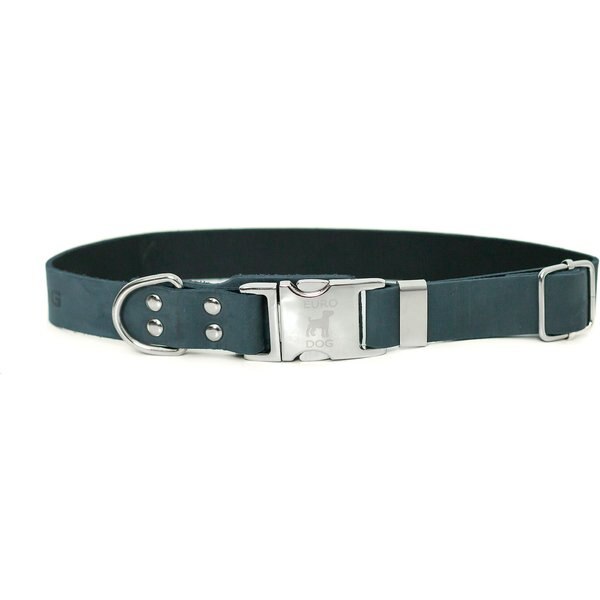 BLUEBERRY PET Modern Iconic Padded Polyester Dog Collar & Leash Set ...
