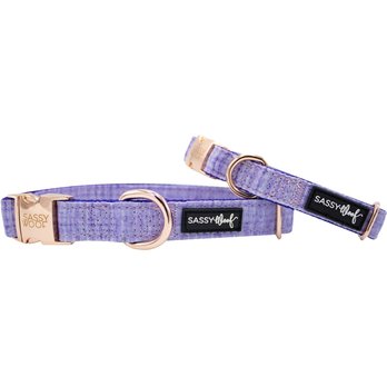 Purple Dog Collars (Free Shipping) | Chewy