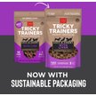 CLOUD STAR Tricky Trainers with Liver Soft & Chewy Dog Treats, 5-oz bag ...