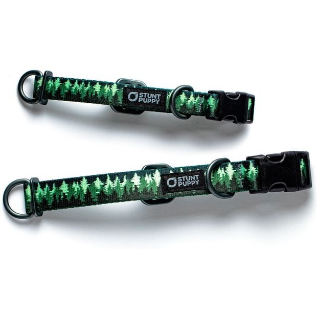 Simple Dog Collars - Page 4 (Free Shipping) | Chewy