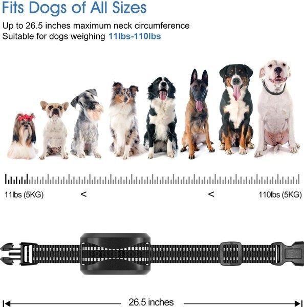 PETDIARY T730 Dog Training Collar & Receiver, Black, 1 count & 2 count ...