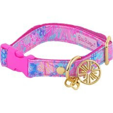 PLASTIC DOG COLLARS (Free Shipping) | Chewy