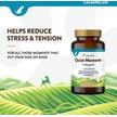 NATURVET Quiet Moments Chewable Tablets Calming Supplement for Dogs, 60 ...