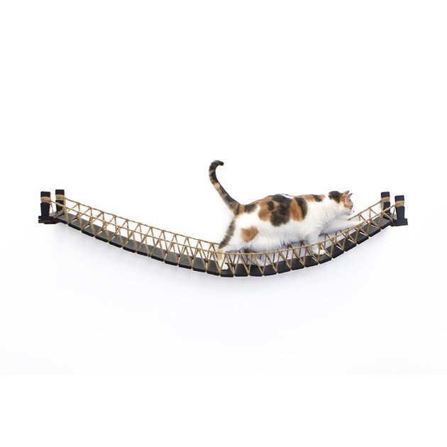 CATASTROPHICREATIONS Wall Mounted Wooden Cat Bridge, X-Large, Onyx ...