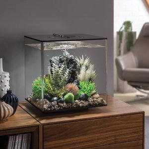 4 Best Acrylic Aquariums 2024: According to Reviews | Chewy