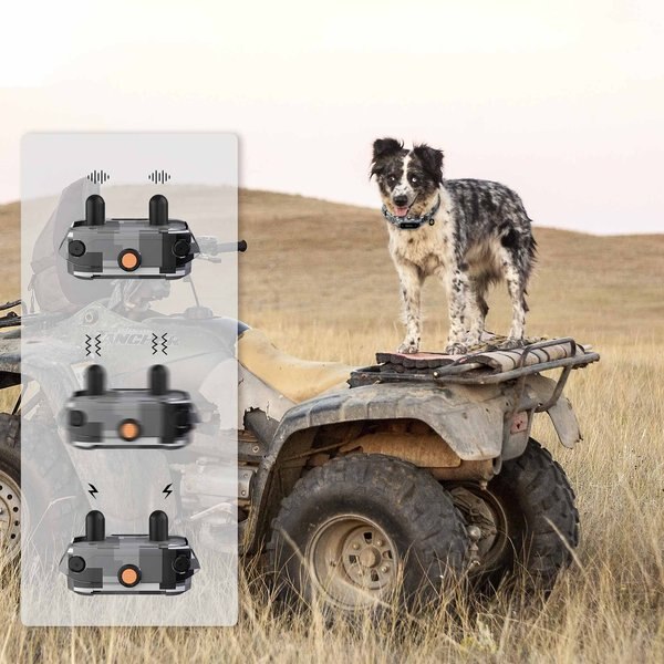 PATPET NFC Pet ID Tag & P920 1300-m Remote Dog Training Electric Shock ...