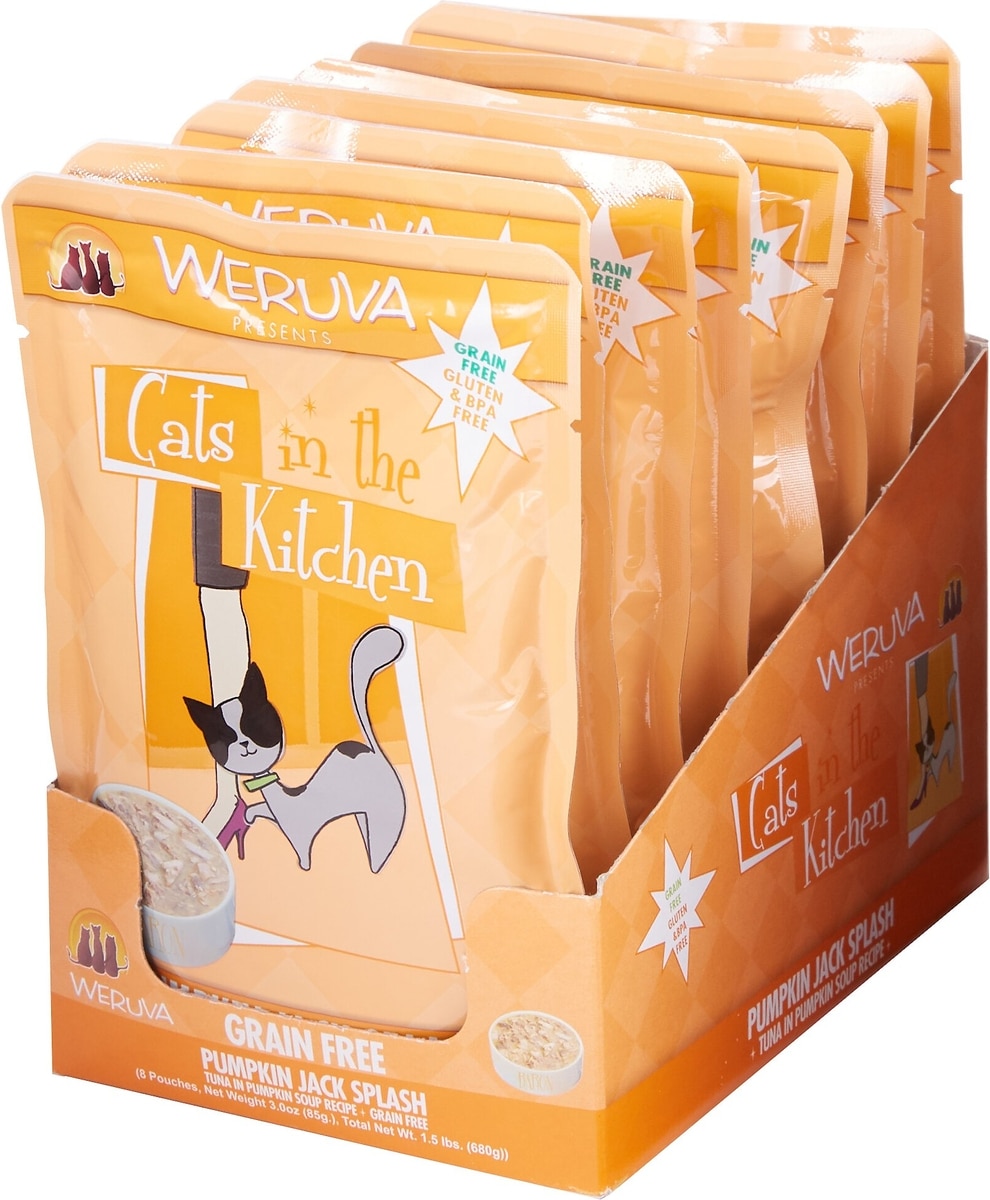 New Version Available - WERUVA Cats in the Kitchen Pumpkin Jack Splash ...