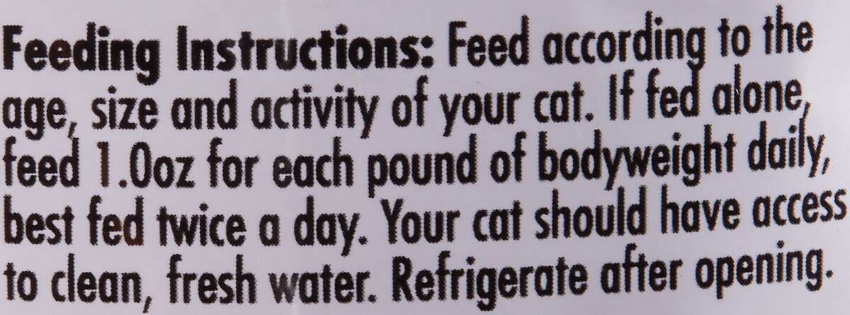 New Version Available - WERUVA Cats in the Kitchen Pumpkin Jack Splash ...