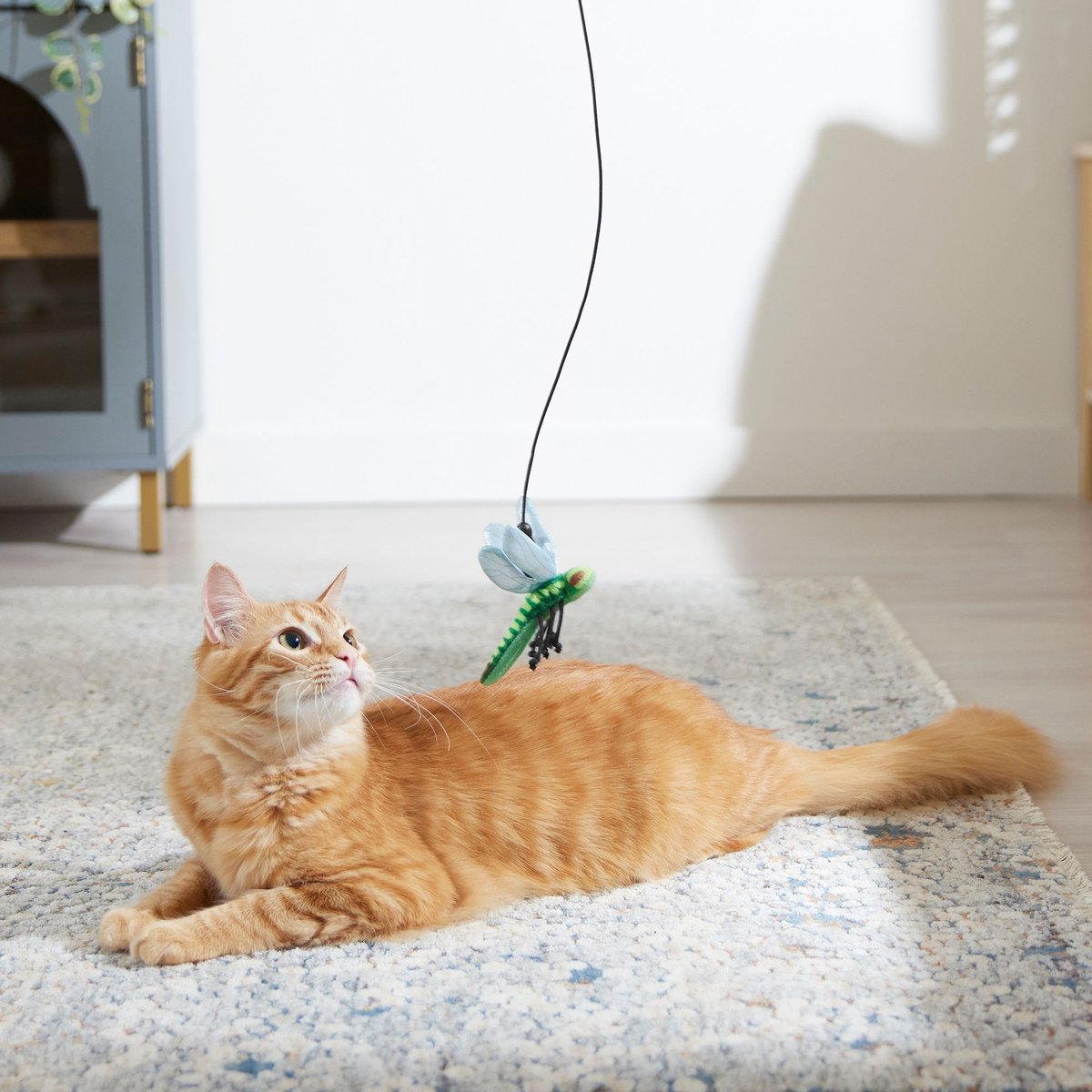FRISCO Leaf & Dragonfly Interchangeable Teaser Wand Cat Toy with Catnip ...