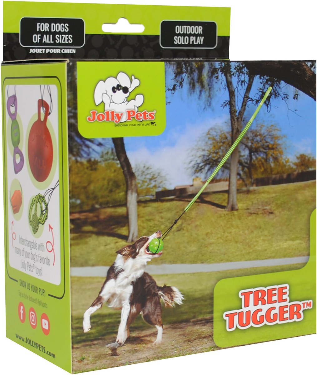 JOLLY PETS Tree Tugger Rope Tug Dog Toy - Chewy.com