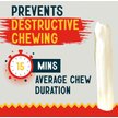 CANINE CHEWS 5-6-inch Premium Chip Rolls Natural Beef Flavor Dental Dog ...
