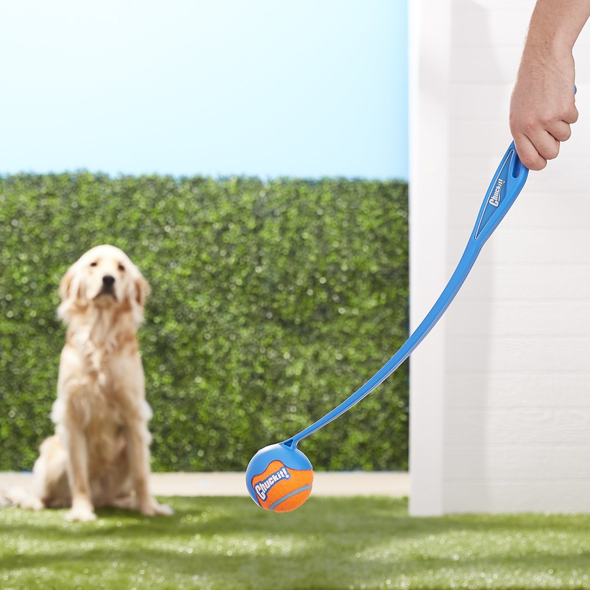CHUCKIT! Sport Launcher Dog Toy, Color Varies, 26L - Chewy.com