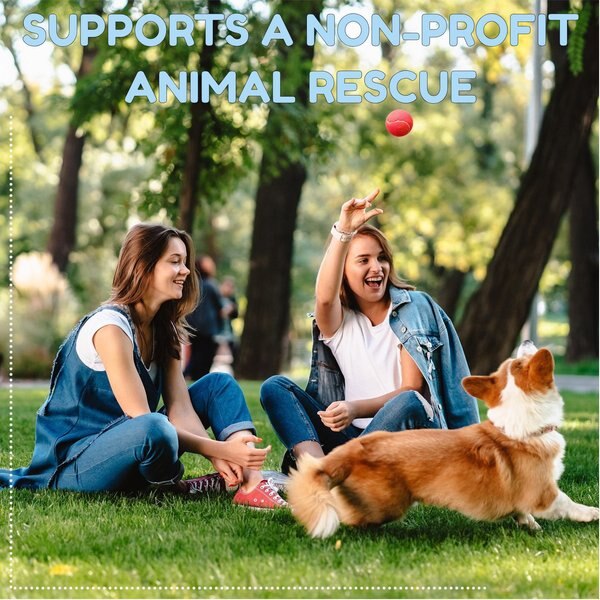 Out of Stock - PACIFIC PUPS RESCUE Ball Dog Toy Variety Pack, 6 count ...